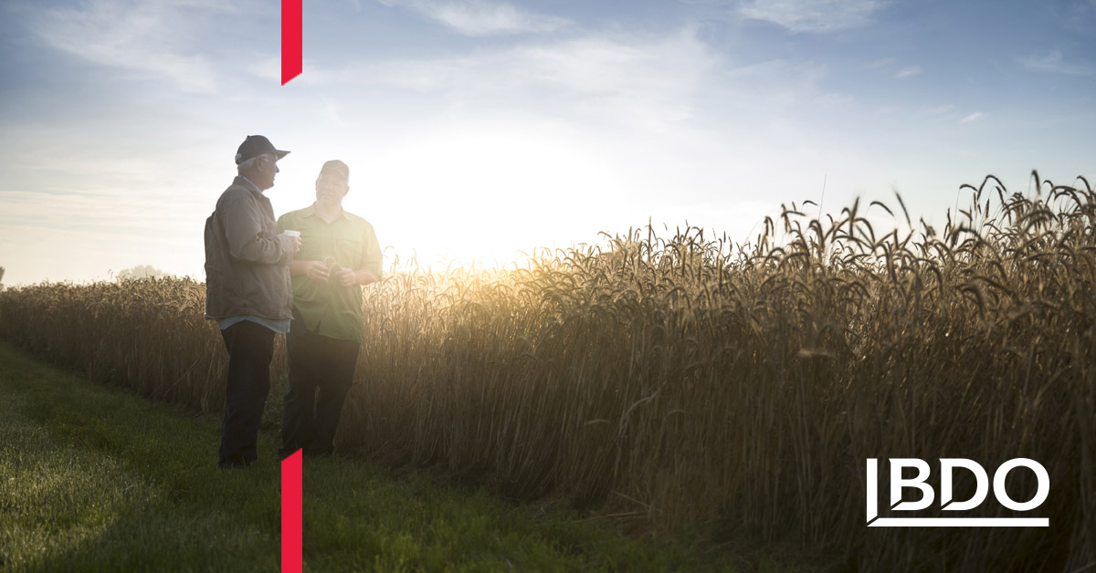 Four essential ingredients for a successful farm transition | BDO Canada