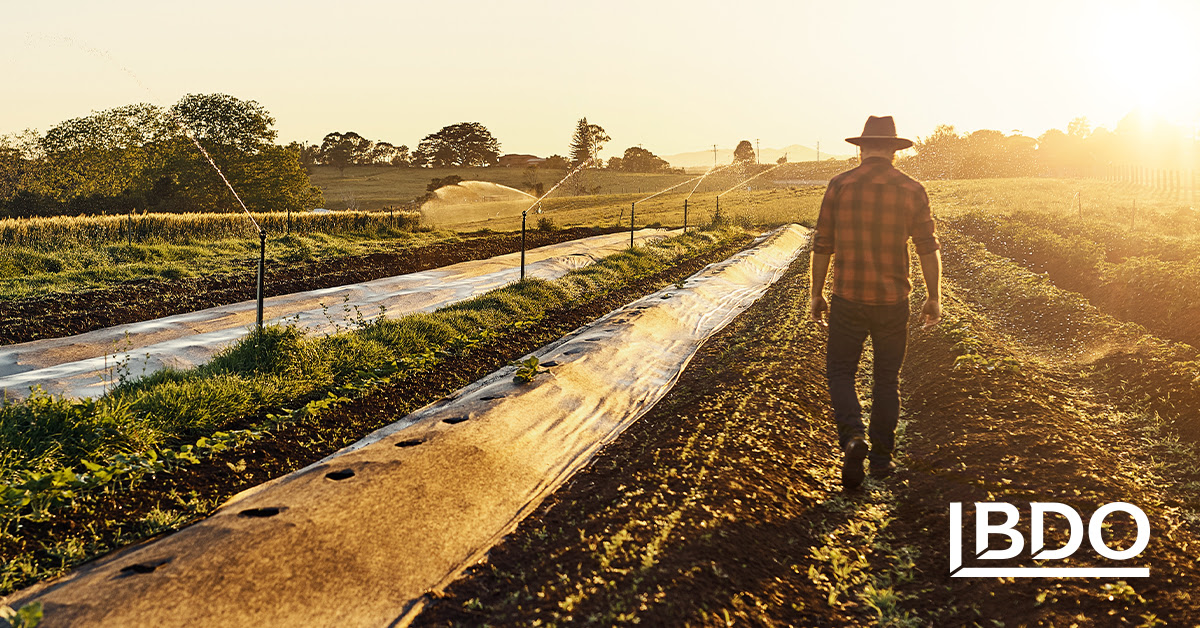 From hobby and part-time to full-time farming | BDO Canada
