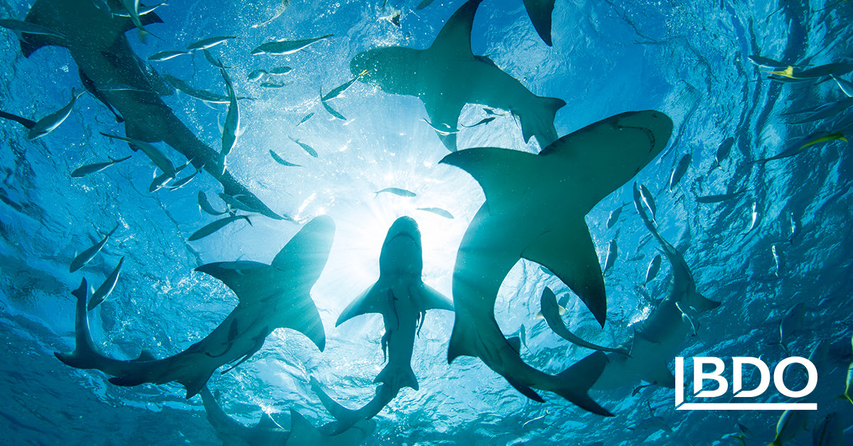 Case study - Exploring a financial fraud case | BDO Canada